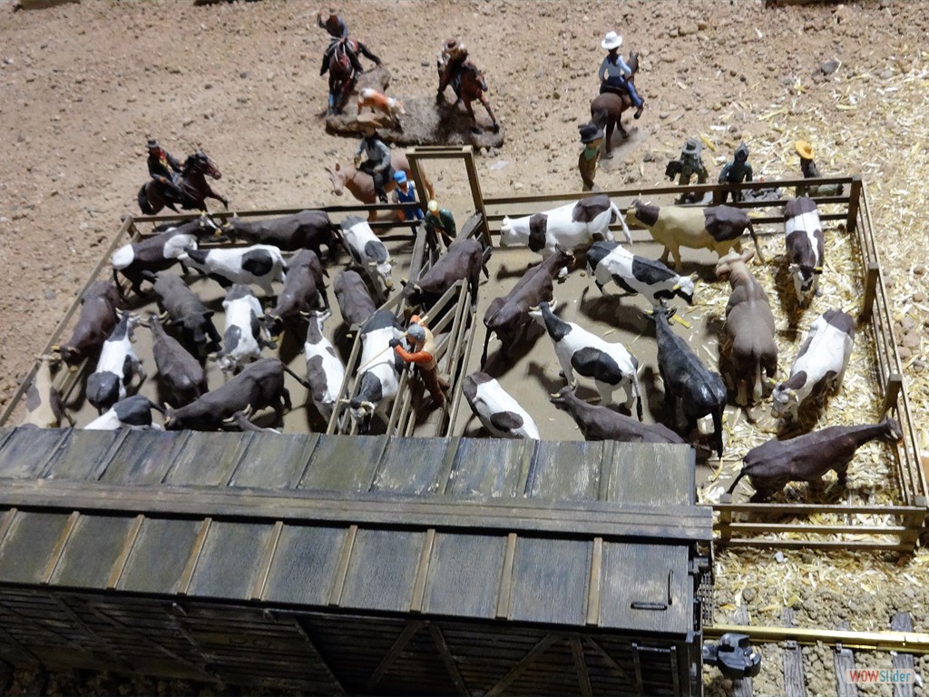 Tucson rodeo parade museum